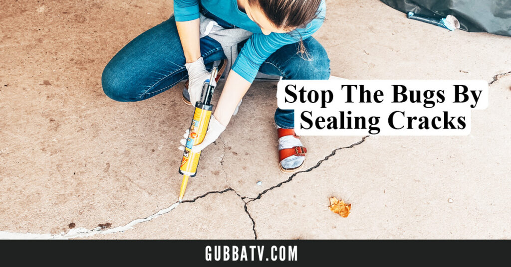 Stop Bugs By Sealing Cracks - Gubba Homestead