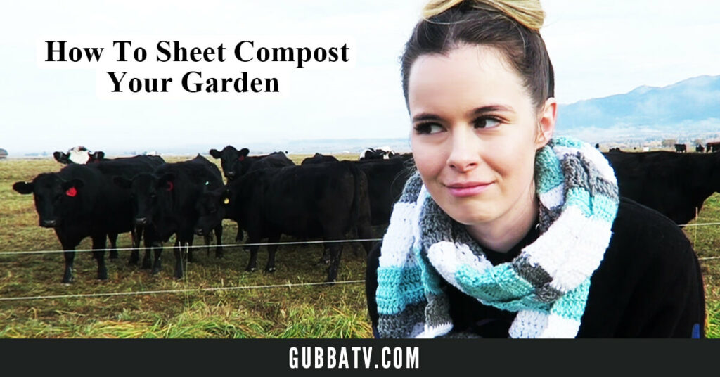 How To Sheet Compost Your Garden - Gubba Homestead