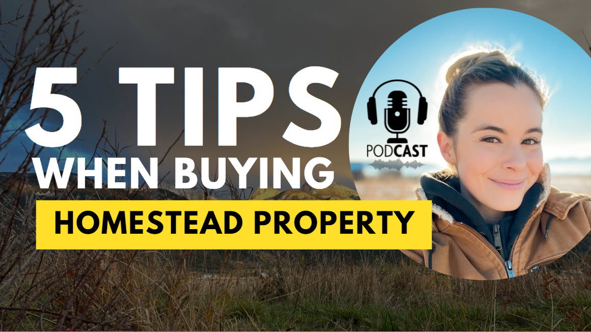 Five Tips When Buying Your Homestead Property - Gubba Homestead