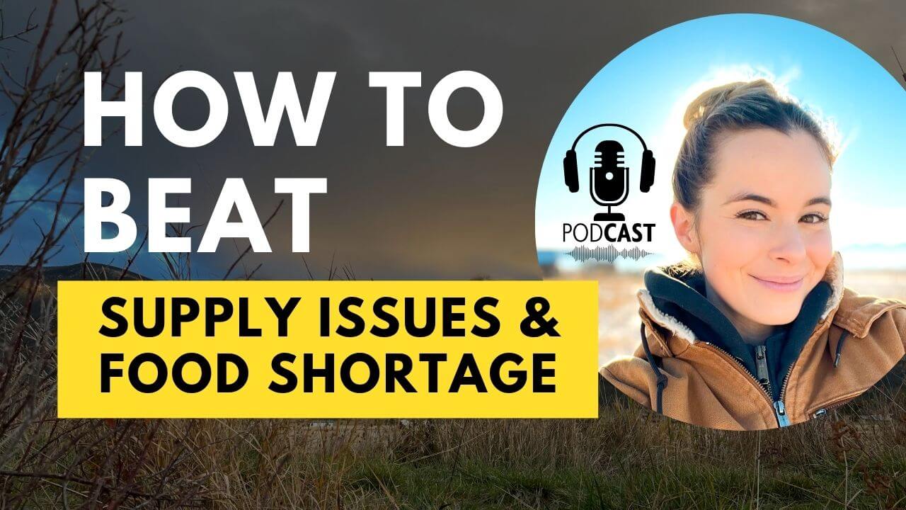 How To Beat The Supply Issues and Food Shortage - Gubba Homestead