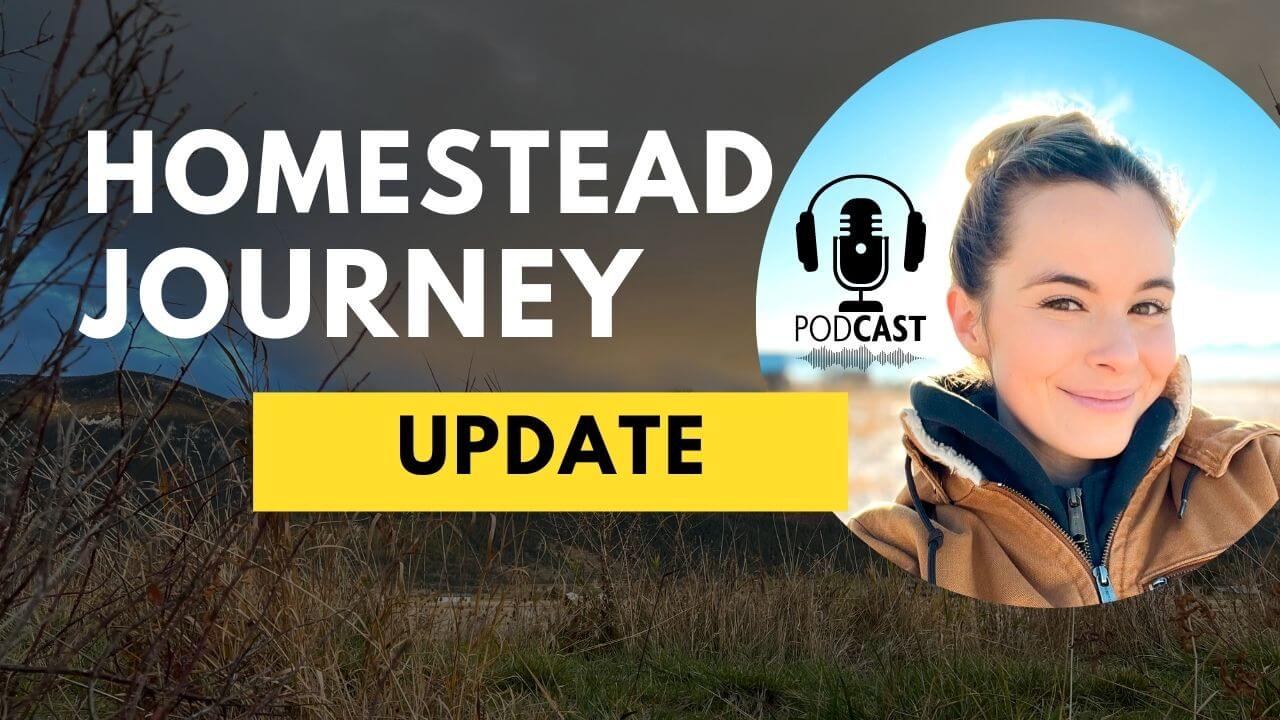 The Gubba Homestead Update - Gubba Homestead