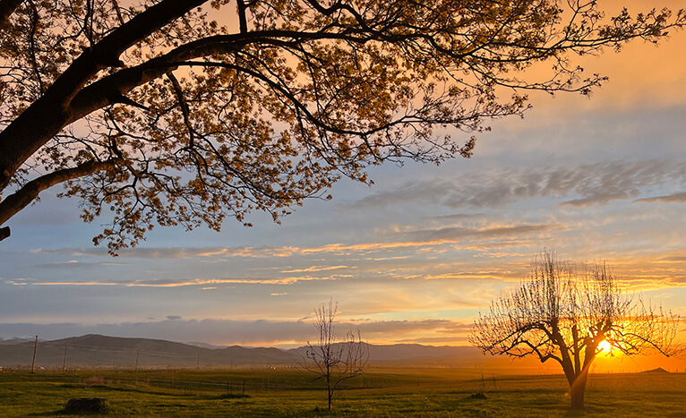 The Gubba Homestead Update - Gubba Homestead