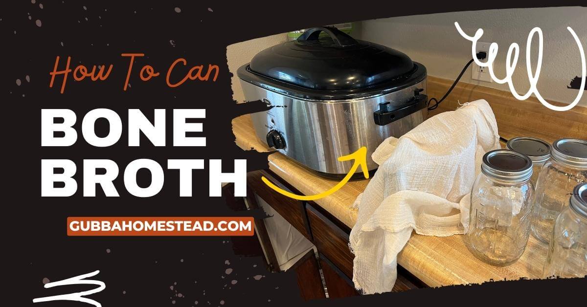 How To Can Bone Broth - Gubba Homestead