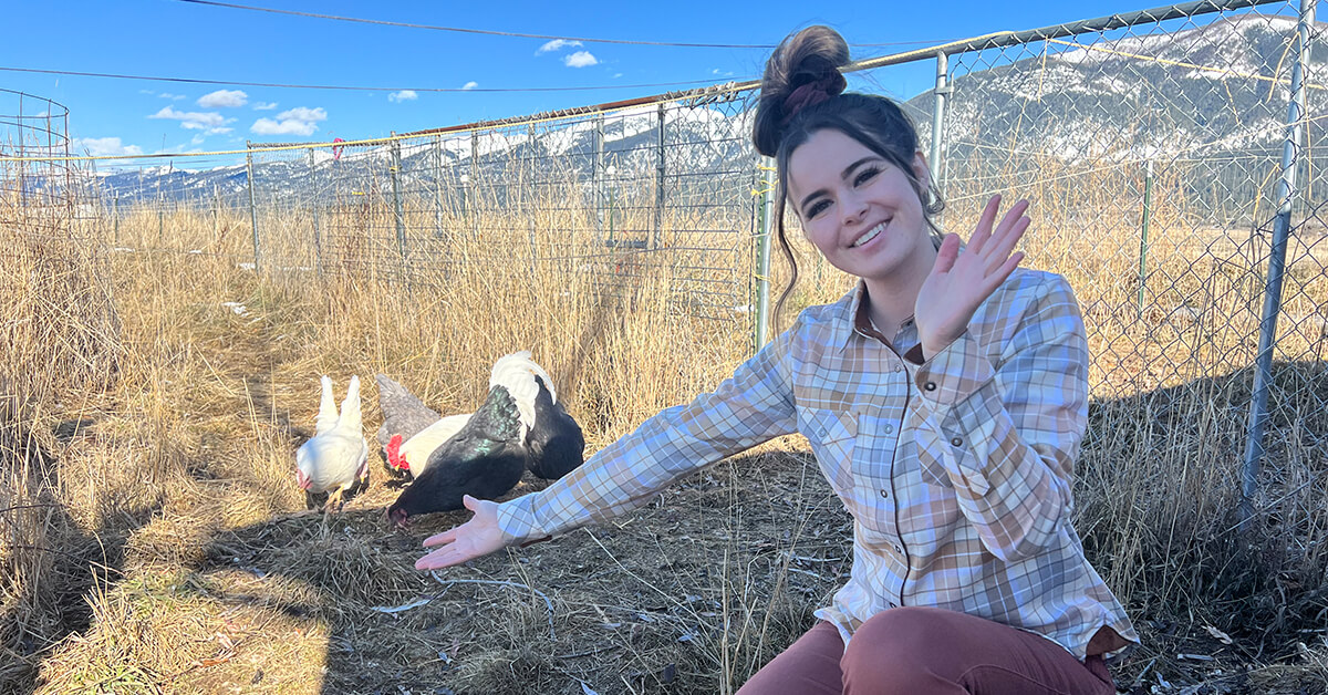 5 Ways To Start Homesteading Now - Gubba Homestead