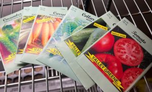 The Ultimate Spring Seed Starting Guide - Gubba Homestead