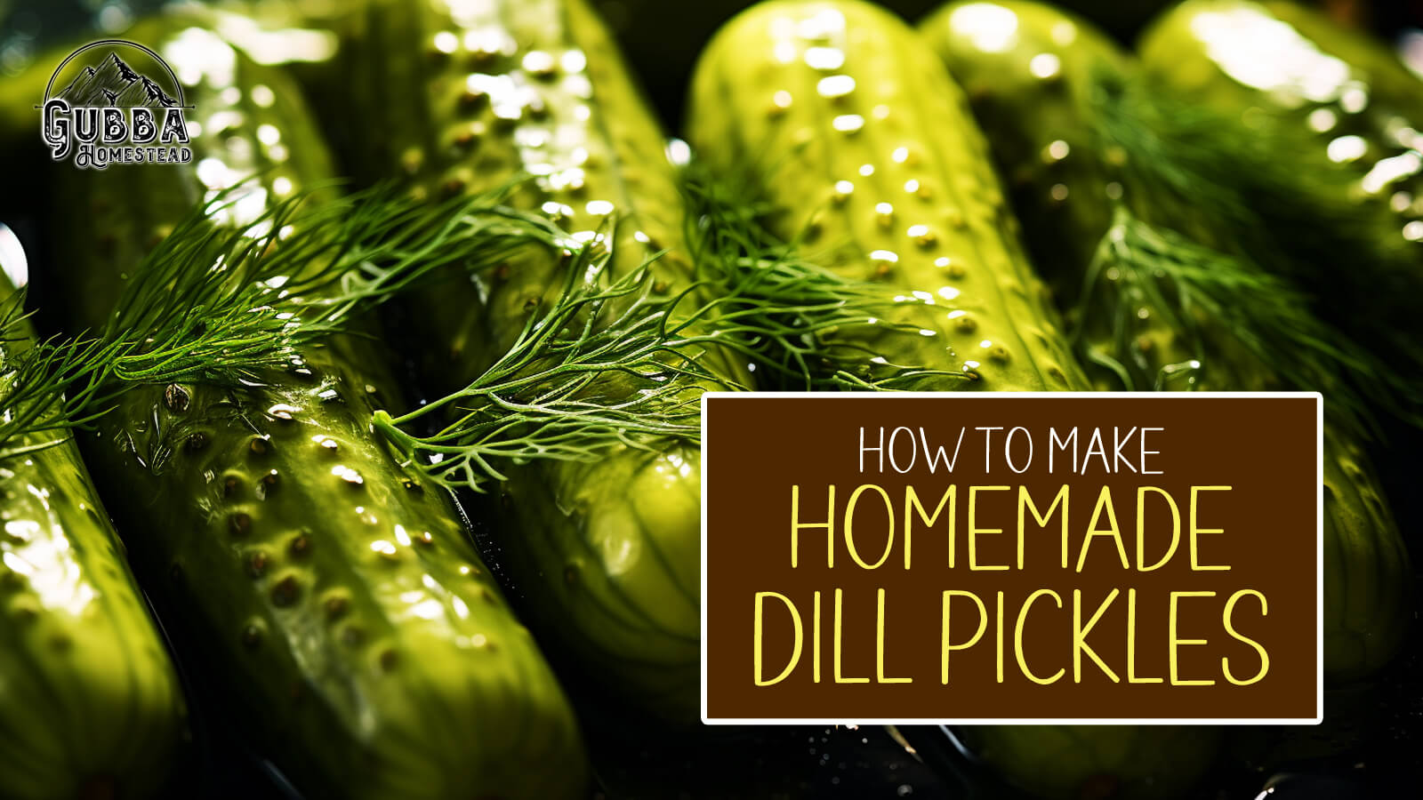 How To Make Homemade Dill Pickles - Gubba Homestead