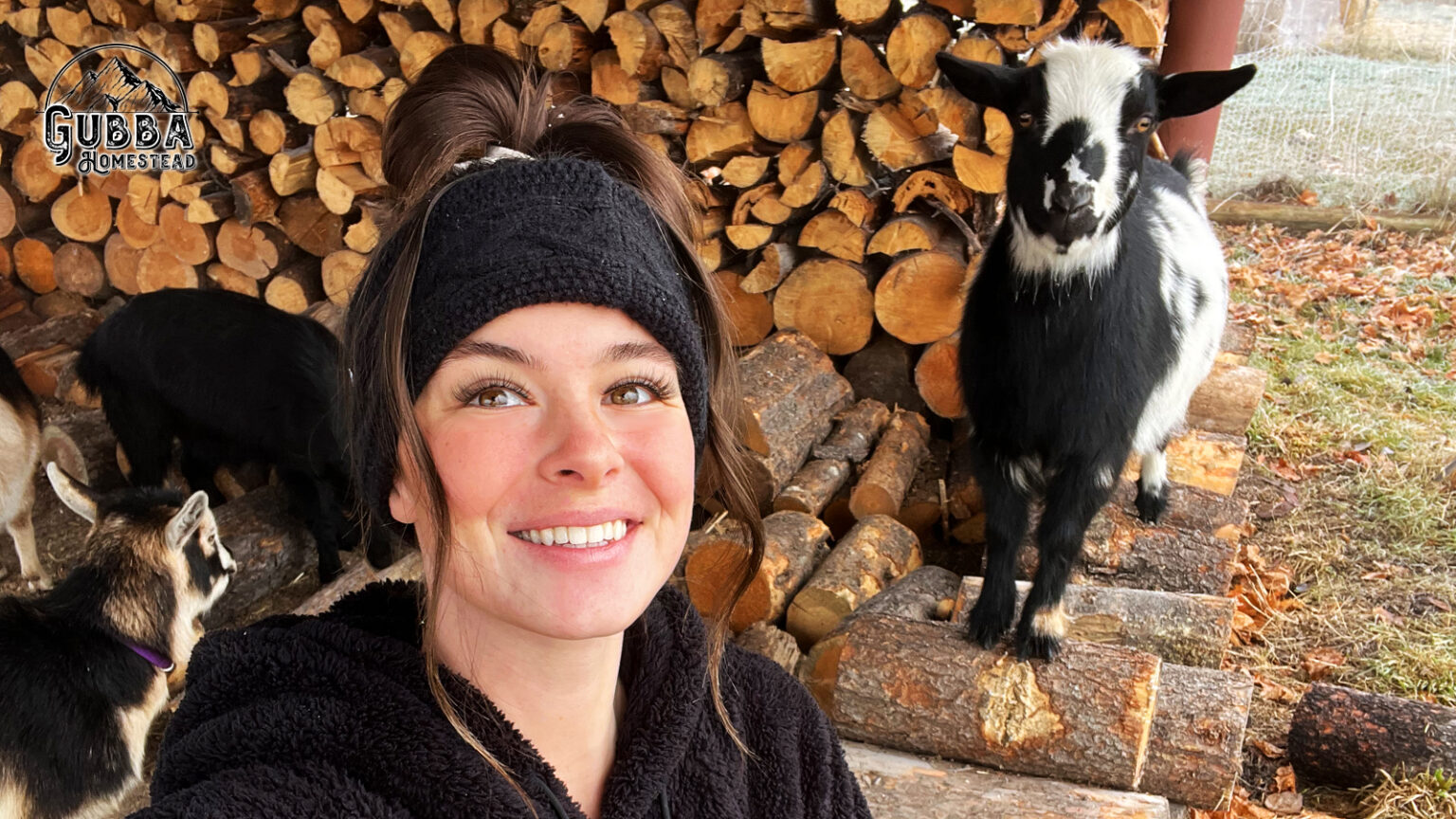 Ultimate Guide to Raising Goats for Beginners: Tips, Tricks, and ...