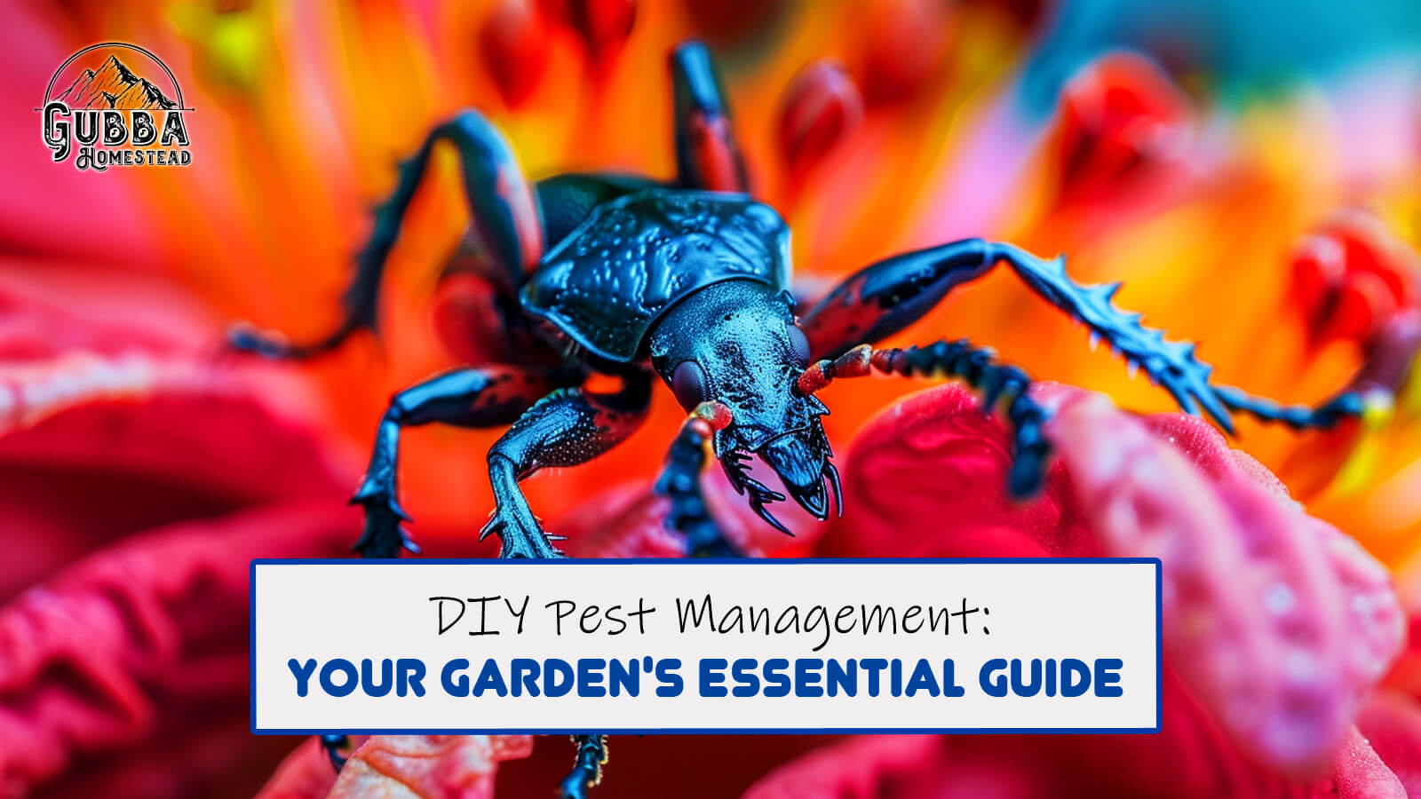 Natural Pest Management in the Garden - Gubba Homestead