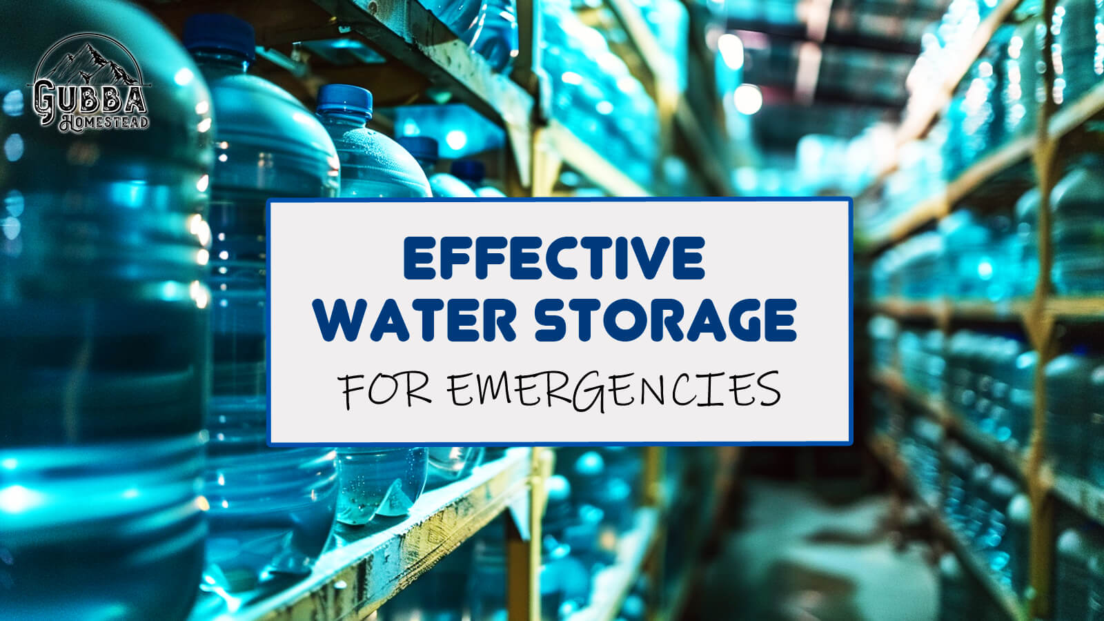 Effective Water Storage for Emergencies - Gubba Homestead