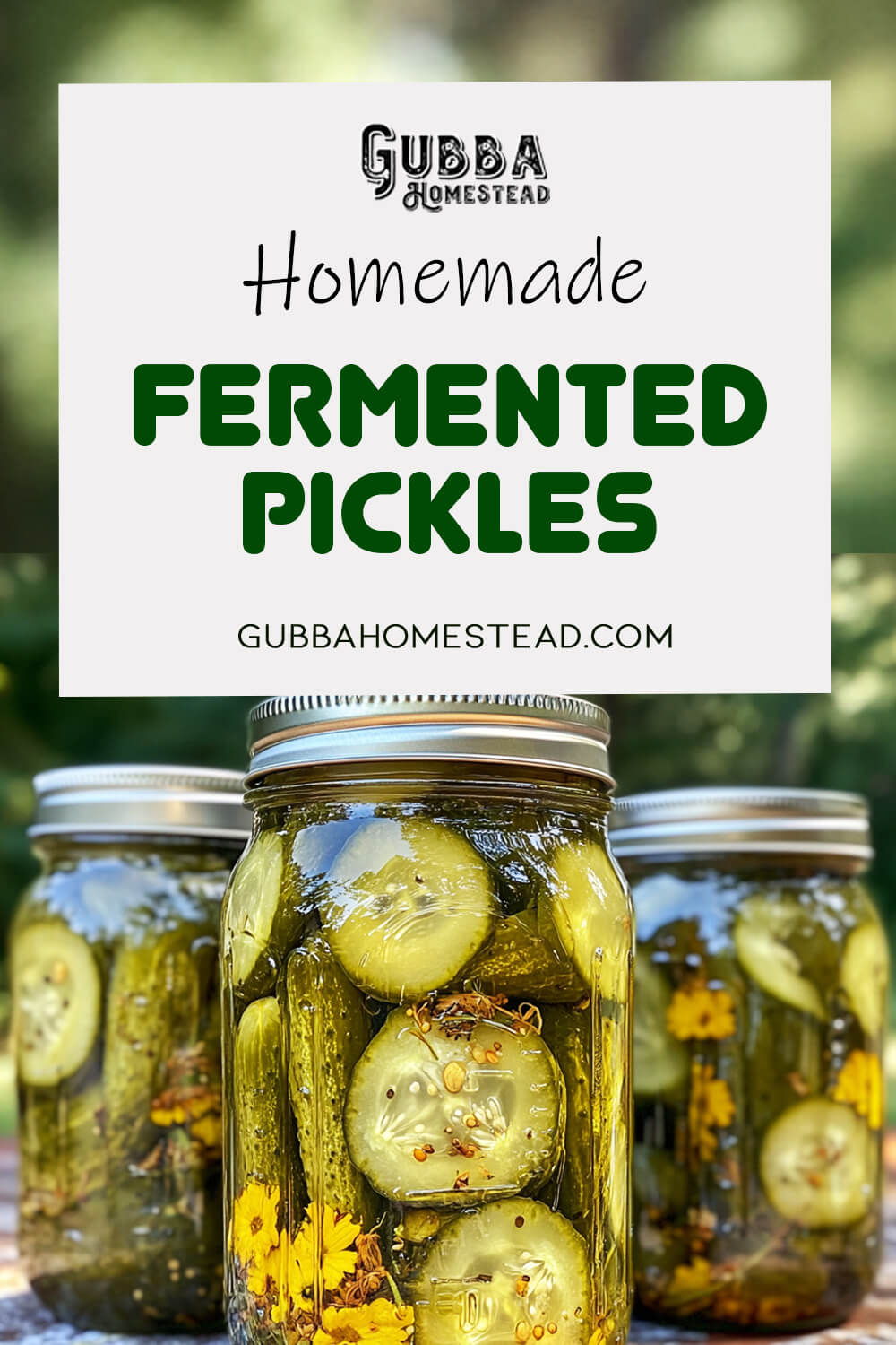 Fermented Pickles Deliciously and Tangy - Gubba Homestead