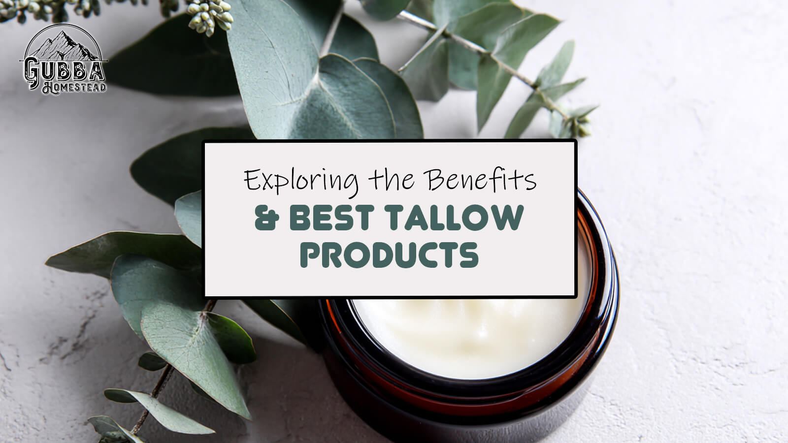 Is Tallow Good for Skin? Exploring the Benefits and Best Tallow ...