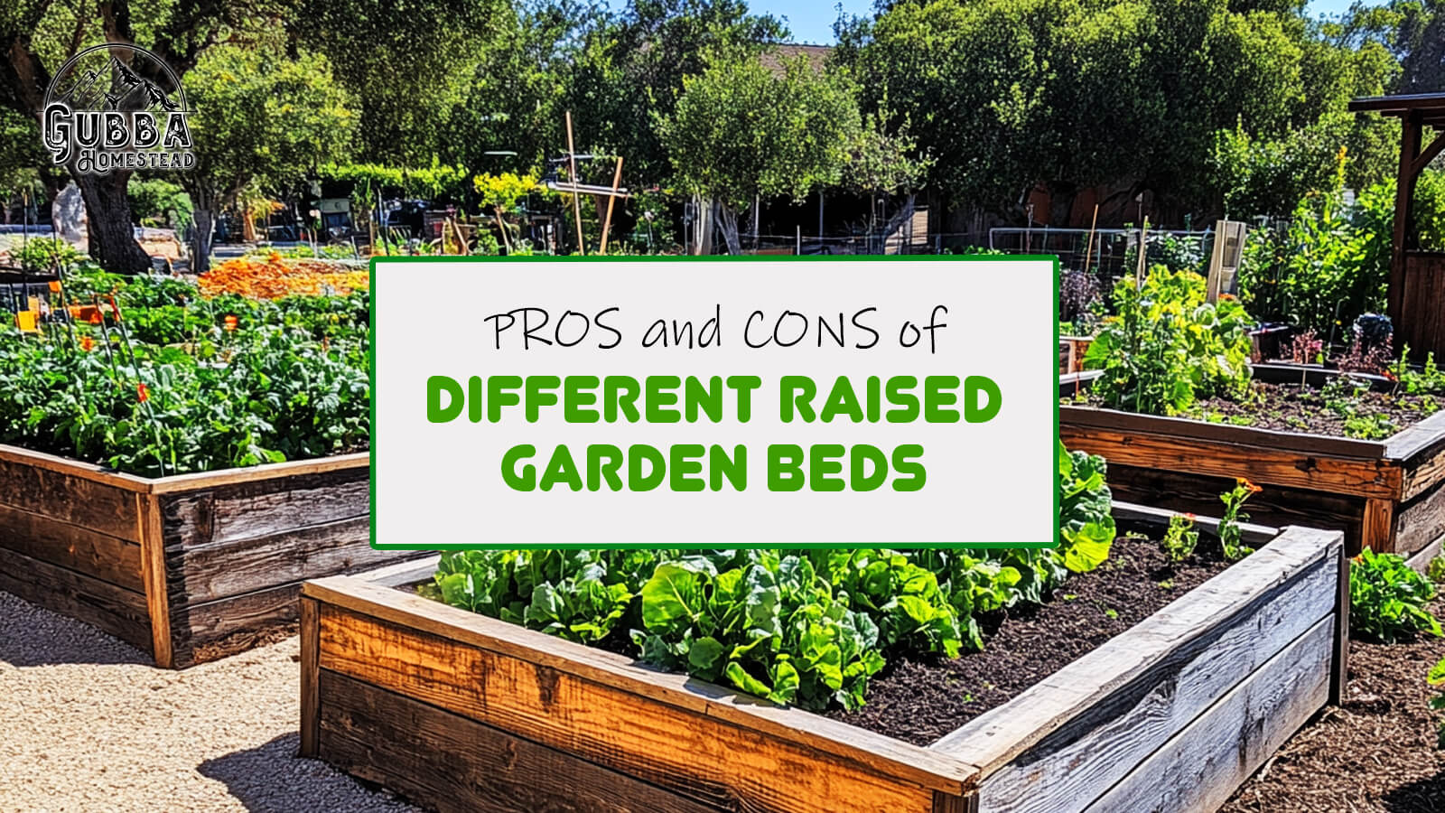 Pros and Cons of Different Raised Garden Beds - Gubba Homestead